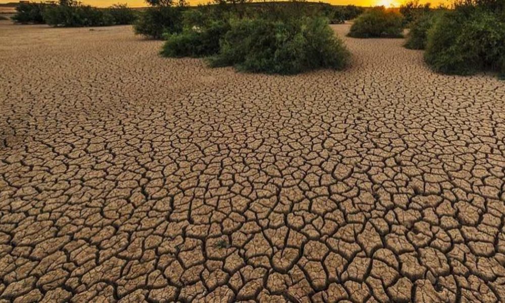 ONU alerta que seca pode ser "a próxima pandemia" - ACORDA DF