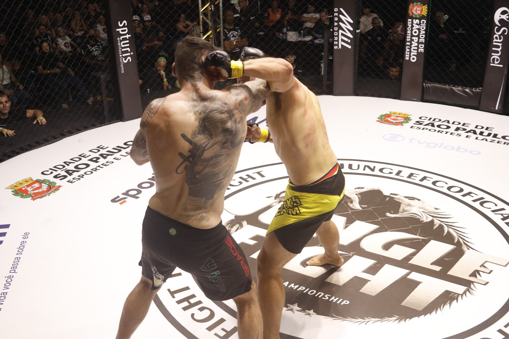 Brasília recebe torneio de MMA Jungle Fight 126 - ACORDA DF